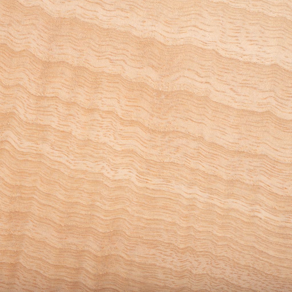 Custom Bass – Prisma Guitars