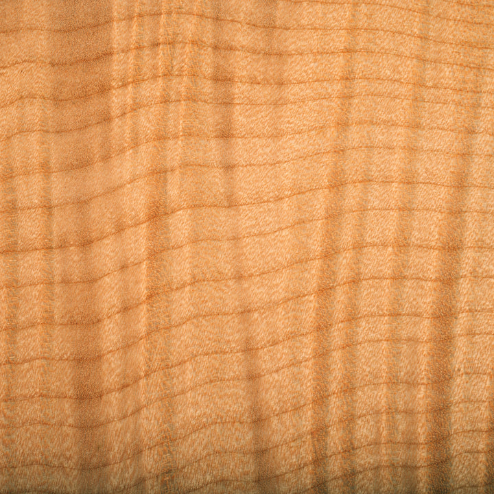 Custom Guitar – Prisma Guitars