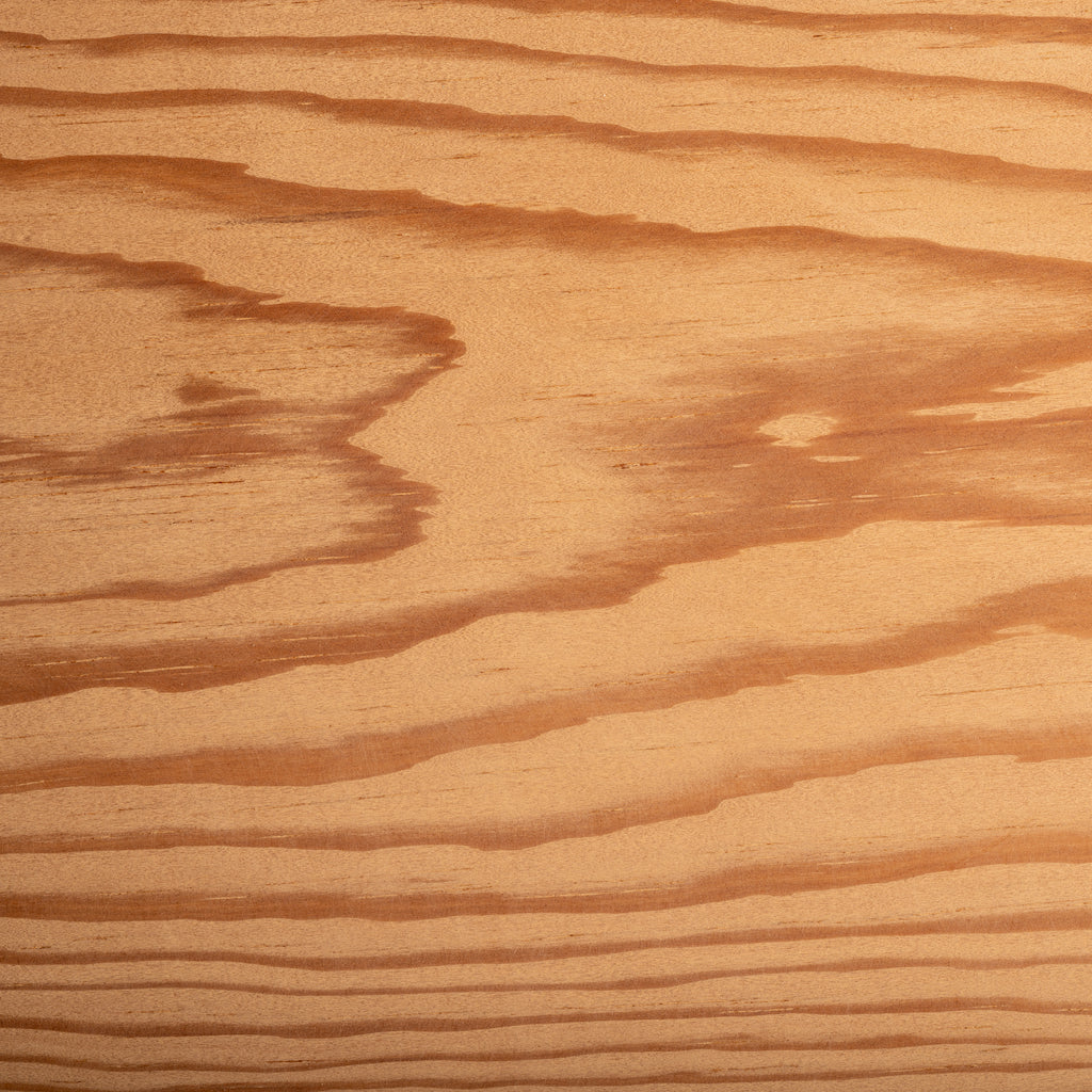 Custom Bass – Prisma Guitars